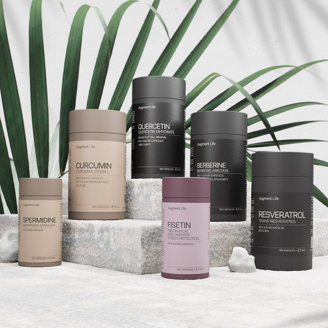 Autophagy Bundle – Augment Life